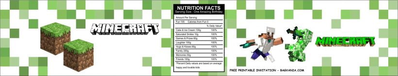 (FREE PRINTABLE) - Minecraft Birthday Party Kits Template