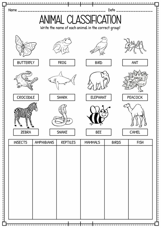 7 Classifying Animals Worksheets: Fun & Educational Activity for Children