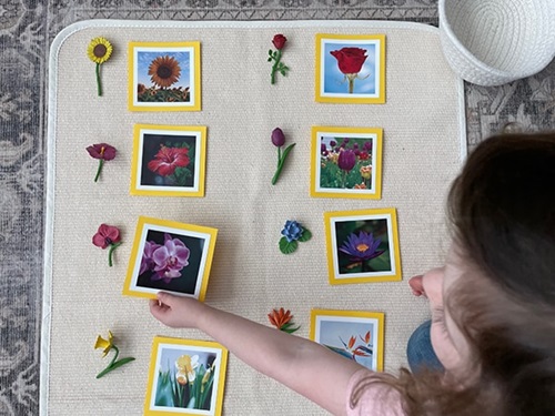 6 Fun Picture Matching Activity Worksheets