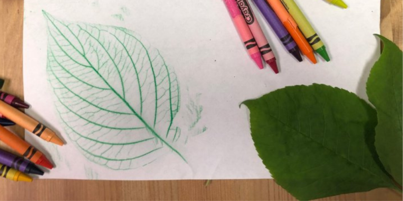 Create Your Own Leaf Rubbing Book (Printable Pages)