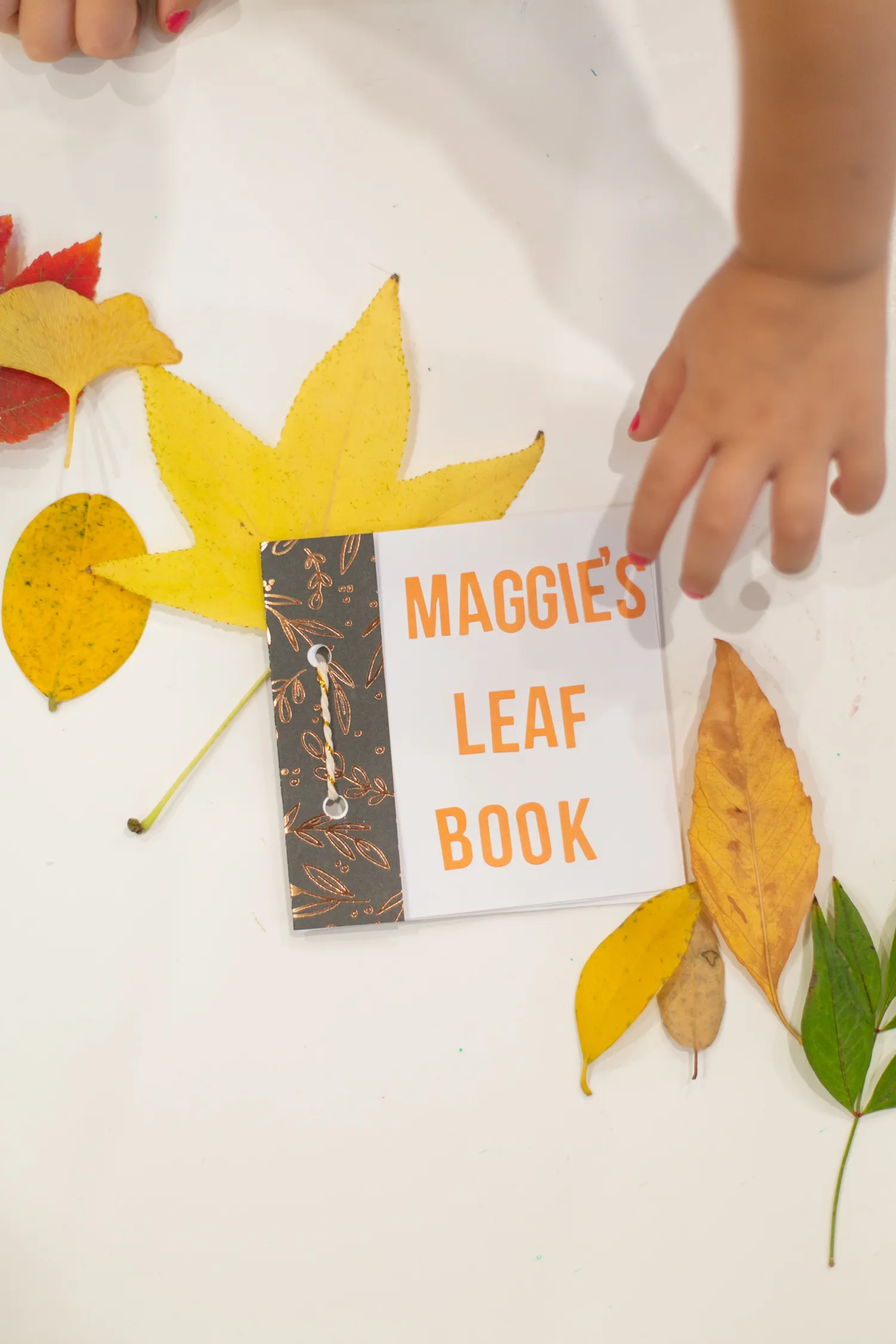 Create Your Own Leaf Rubbing Book (Printable Pages)