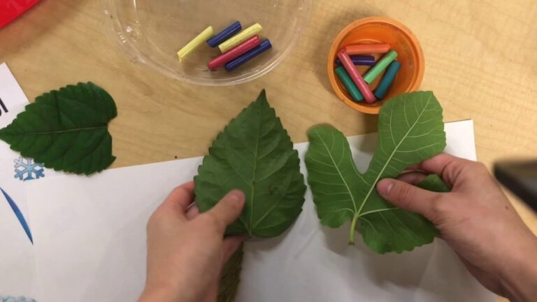Create Your Own Leaf Rubbing Book (Printable Pages)